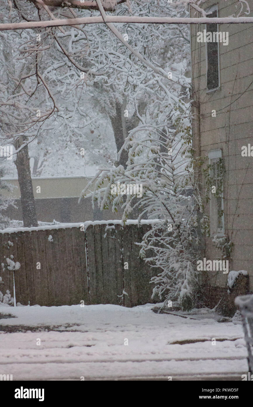 Bad weather snow hi-res stock photography and images - Alamy