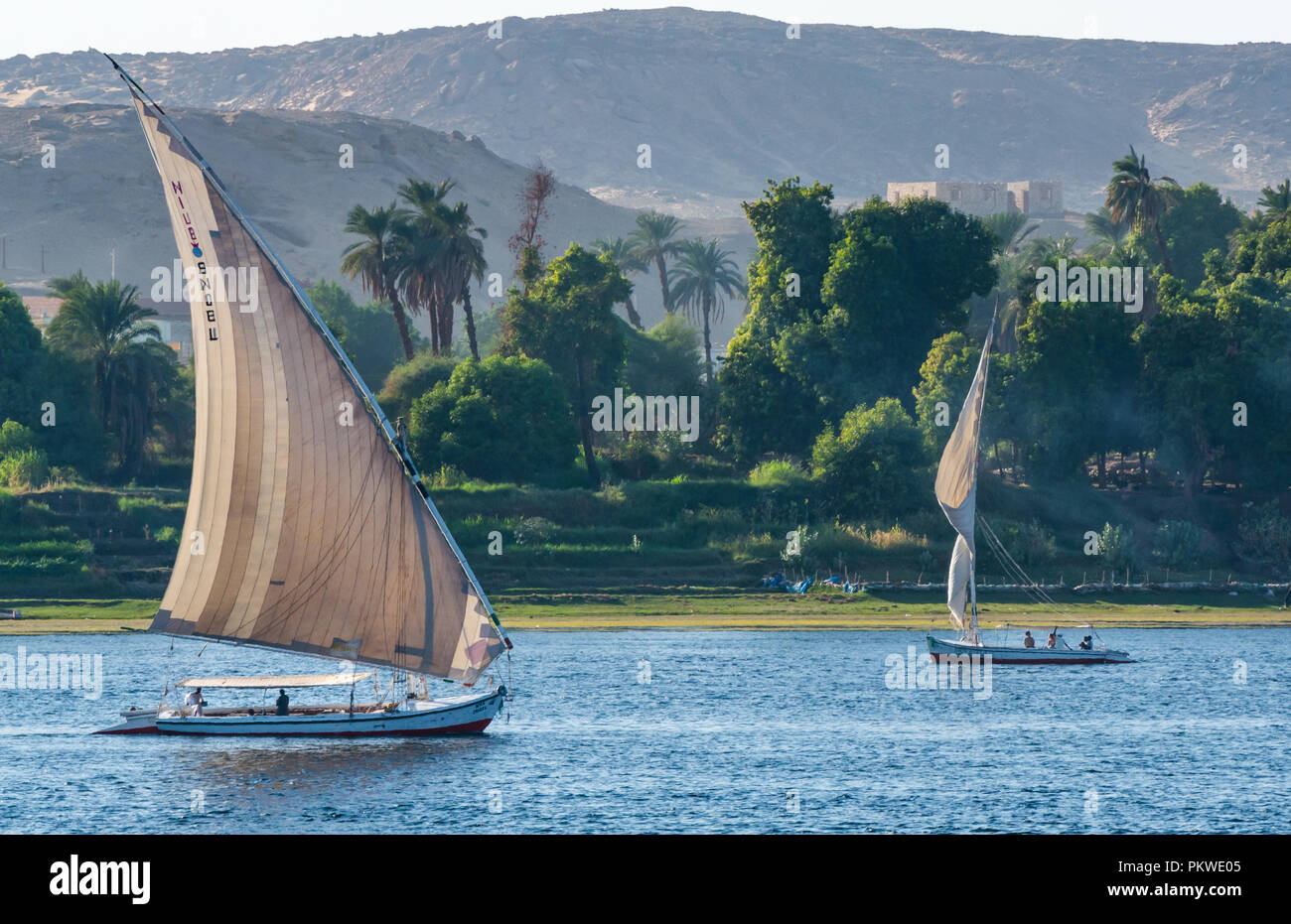 Traditional felucca sailing boats, River Nile with trees on riverbank ...
