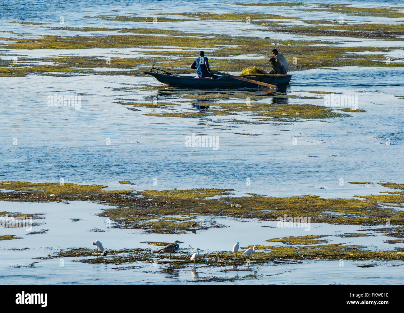 Local Egyptian men in early morning light in small rowing boat fishing ...