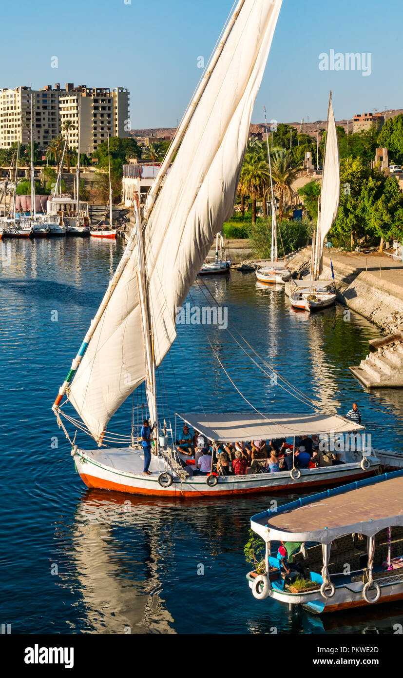 Felucca sailing boat egypt hi-res stock photography and images - Alamy