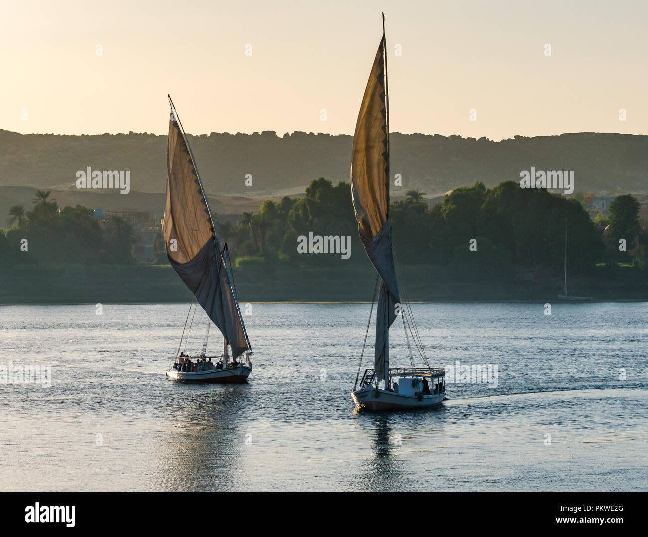 Traditional felucca sailing boats at dusk, River Nile, Aswan, Egypt ...