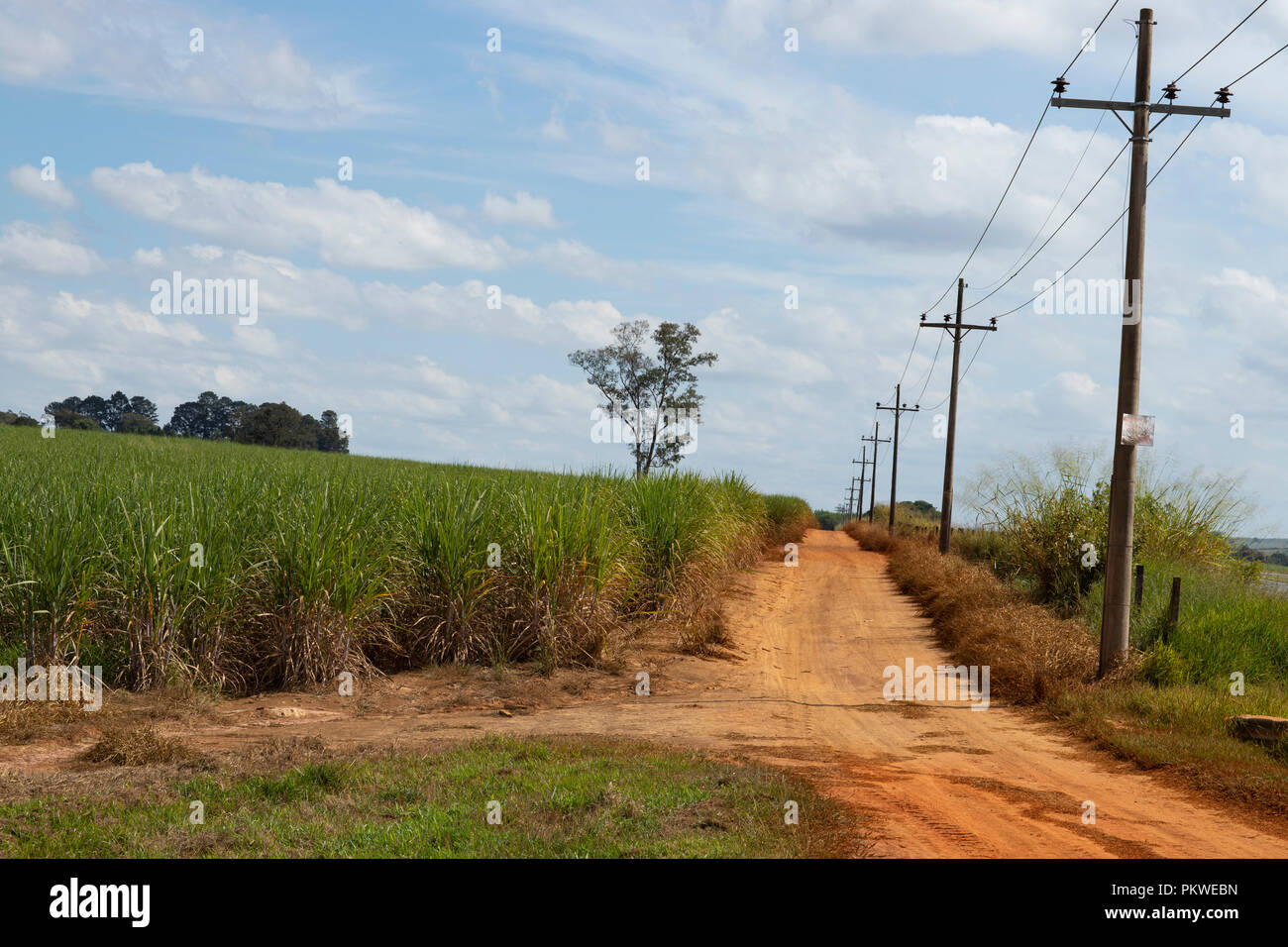 Electric poles in one rural roadside. Dirt road Stock Photo - Alamy