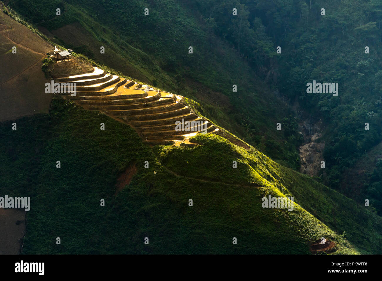 The magical landscape of Terraced rice field during the watering season ...