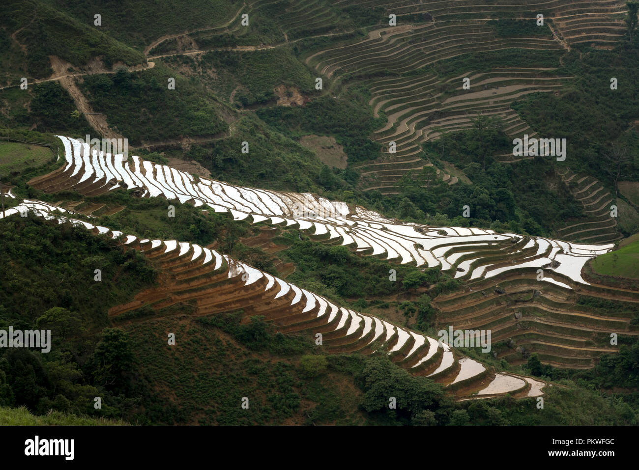 The magical landscape of Terraced rice field during the watering season ...
