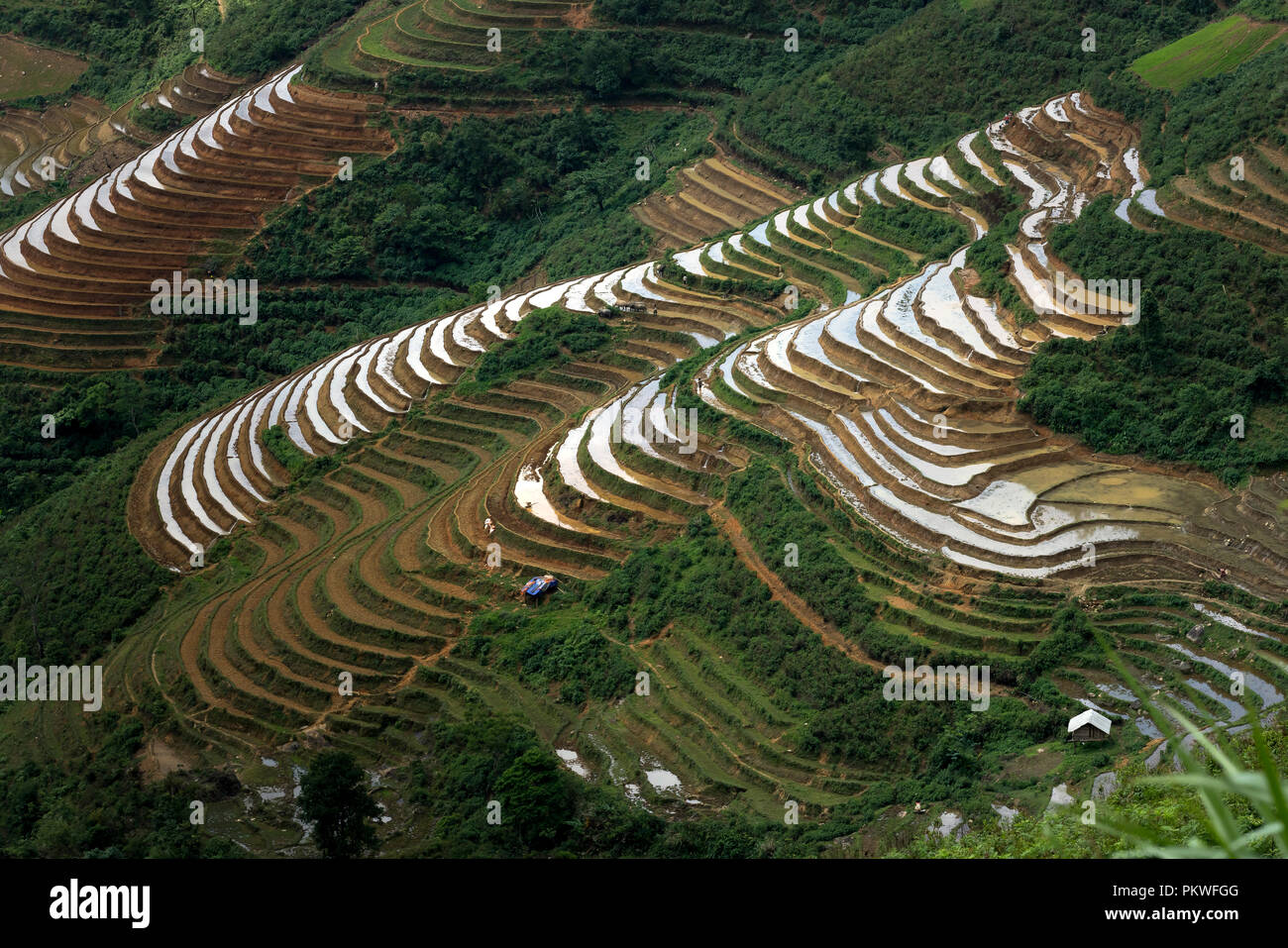 The magical landscape of Terraced rice field during the watering season ...