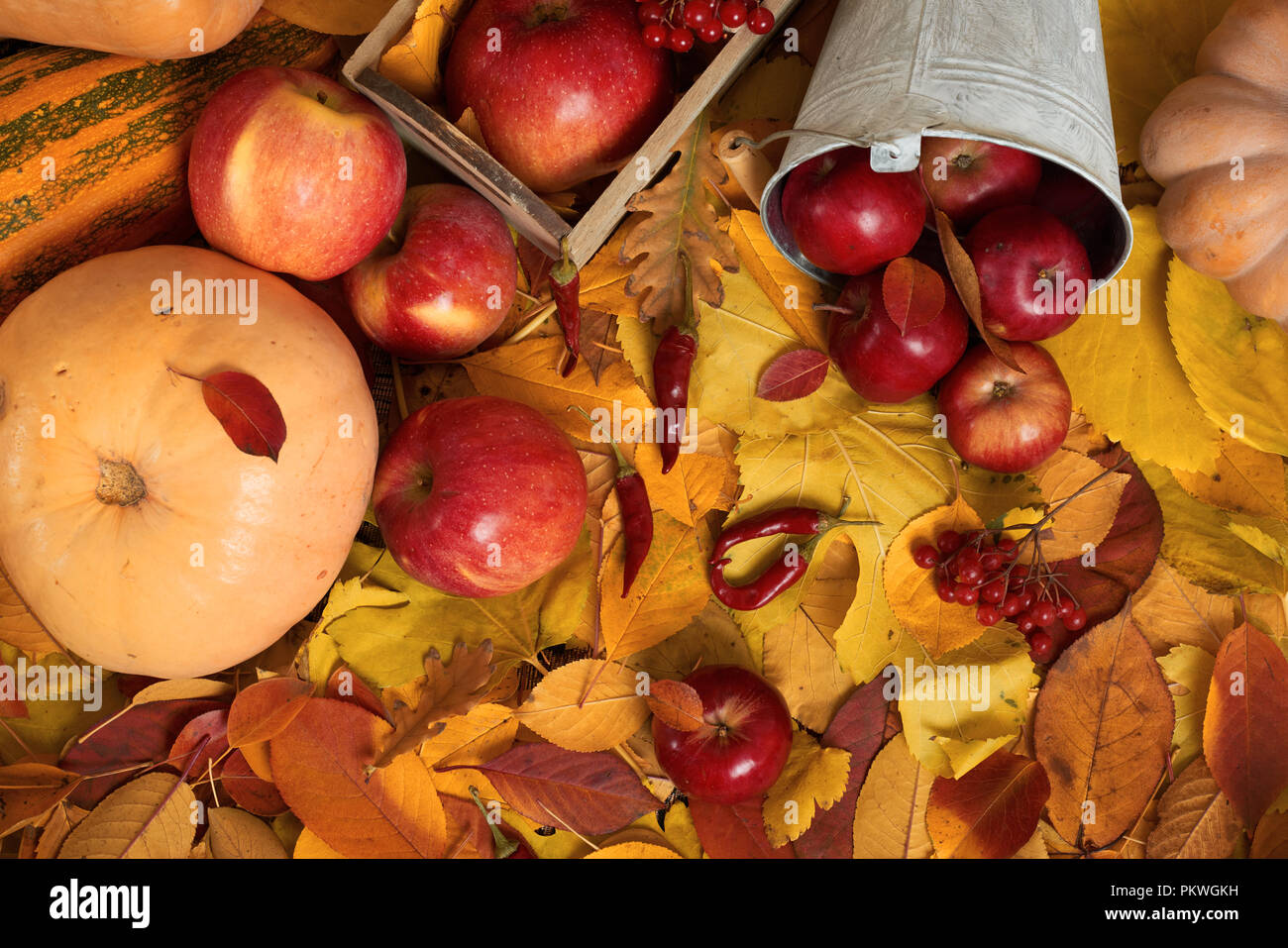 autumn harvest - fruits and vegetables are on fallen yellow leaves ...