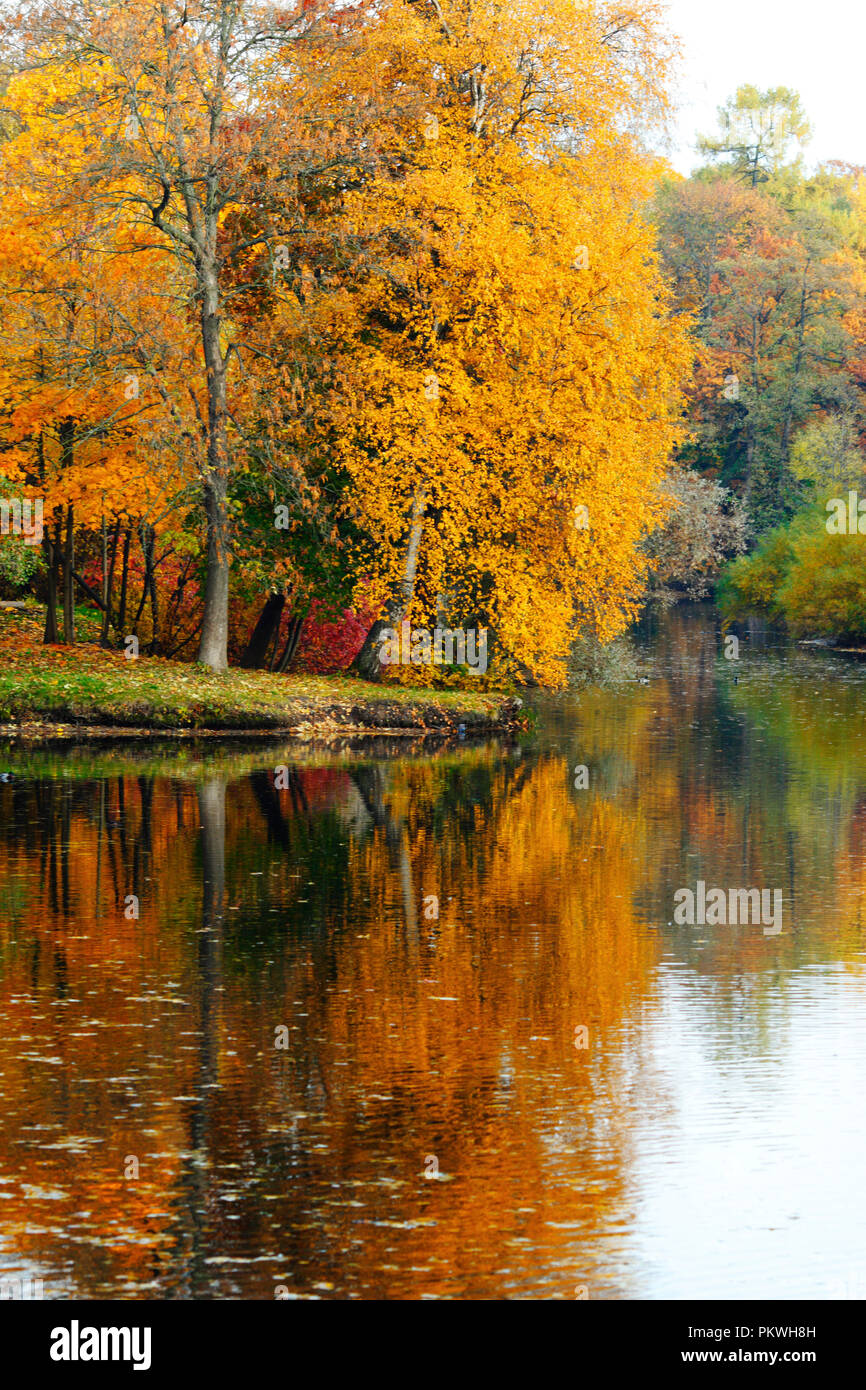 Beautiful autumn landscape with pond in colorful trees forest Stock ...