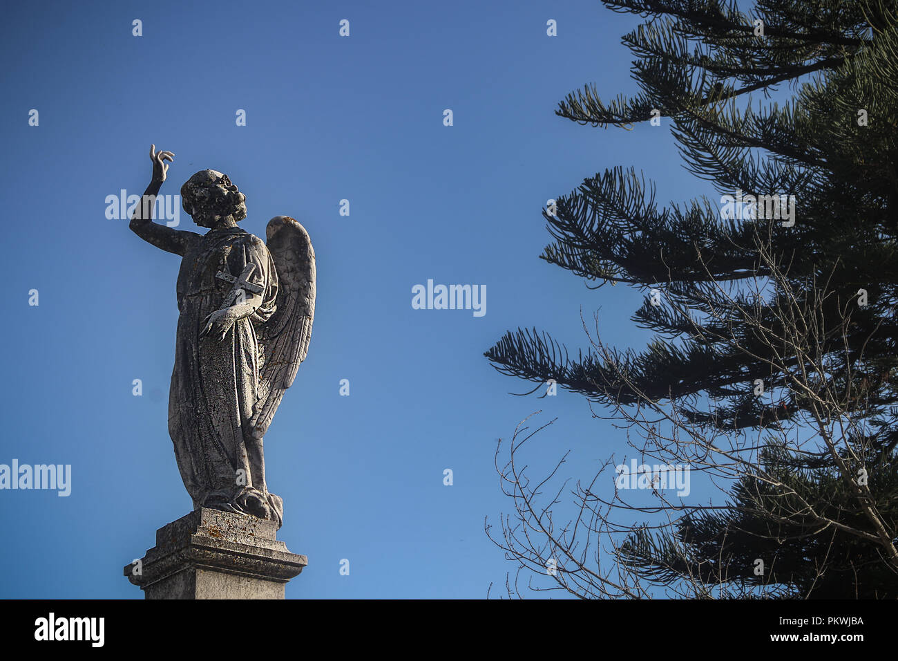 A statue of na angel Stock Photo - Alamy