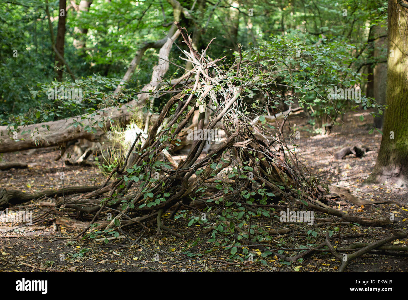 Treehouse children build hi-res stock photography and images - Alamy