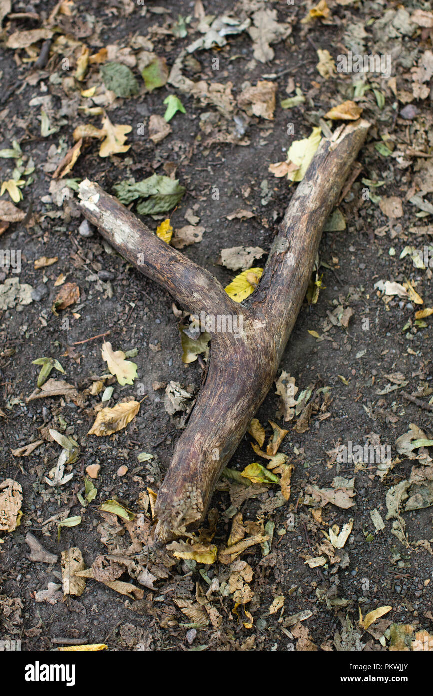 A z alphabet hi-res stock photography and images - Alamy