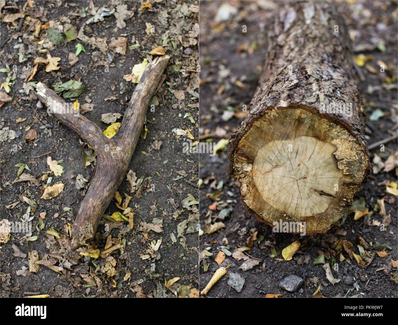 Slang hi-res stock photography and images - Alamy