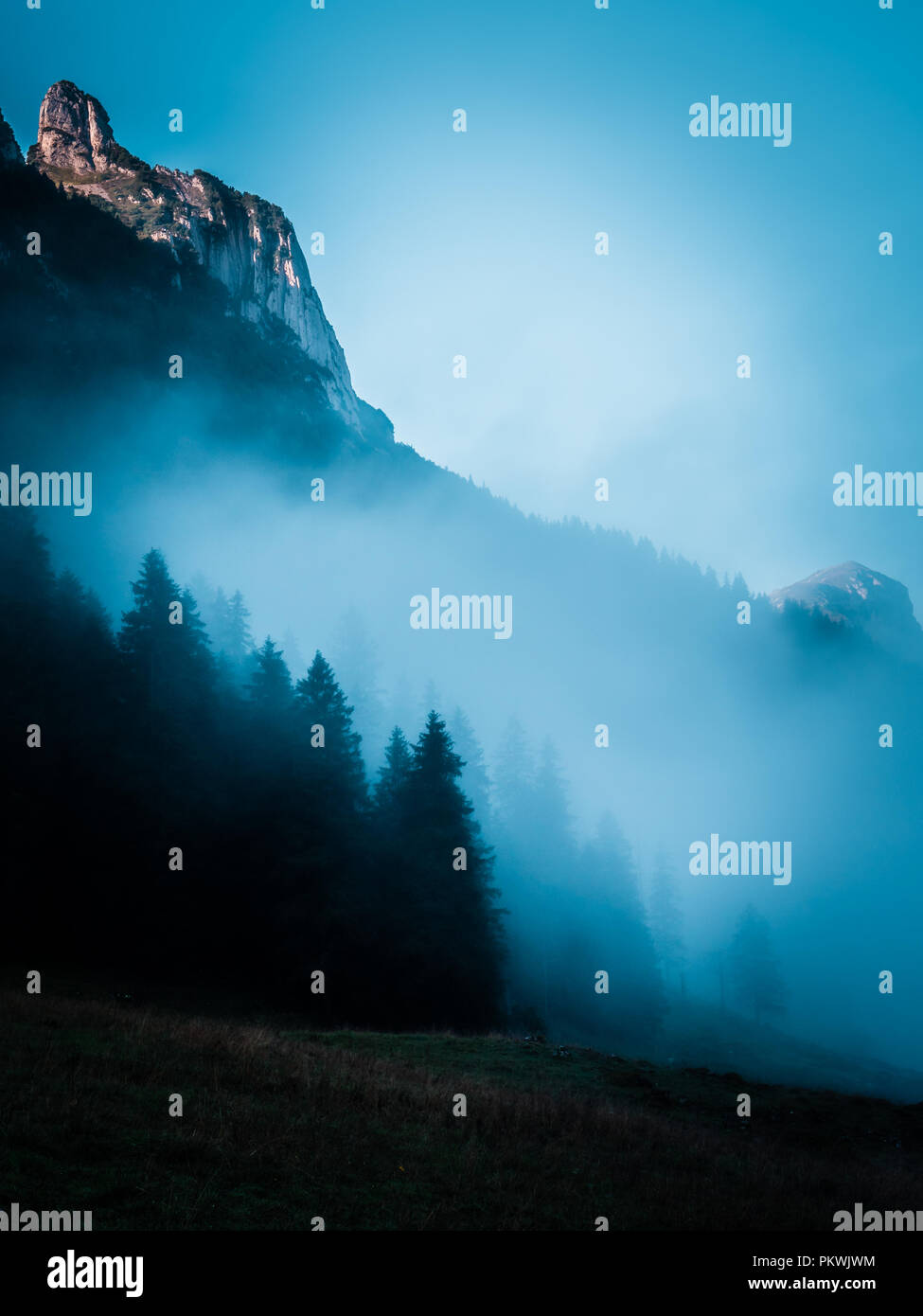 Misty landscape with fog covered forest during morning mountain scenery ...