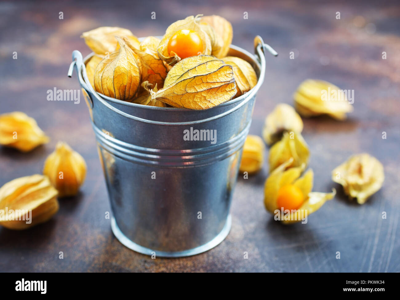 Physalis fruit on dark background, stock photo Stock Photo - Alamy