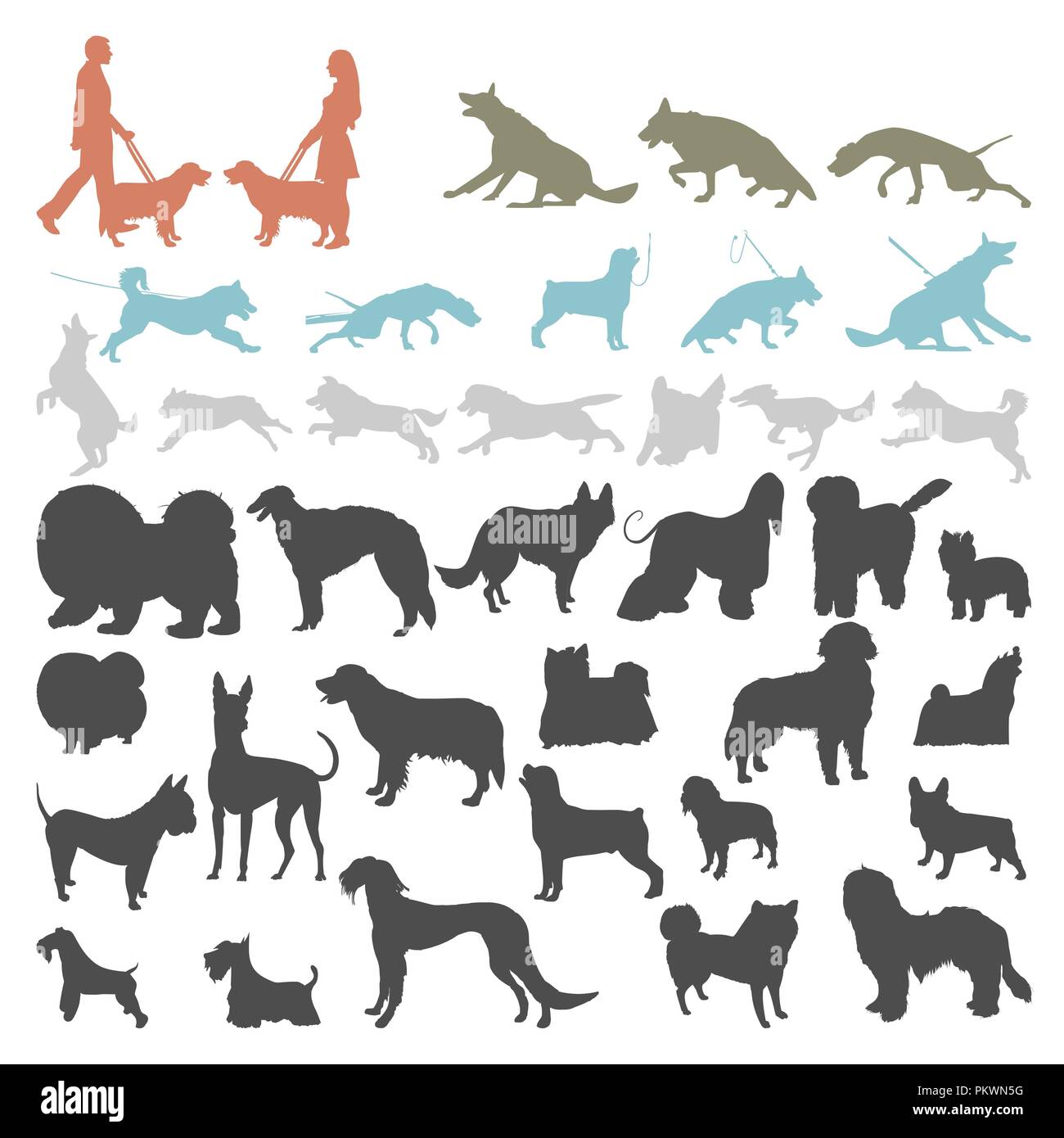 White terrier on leash Stock Vector Images - Alamy