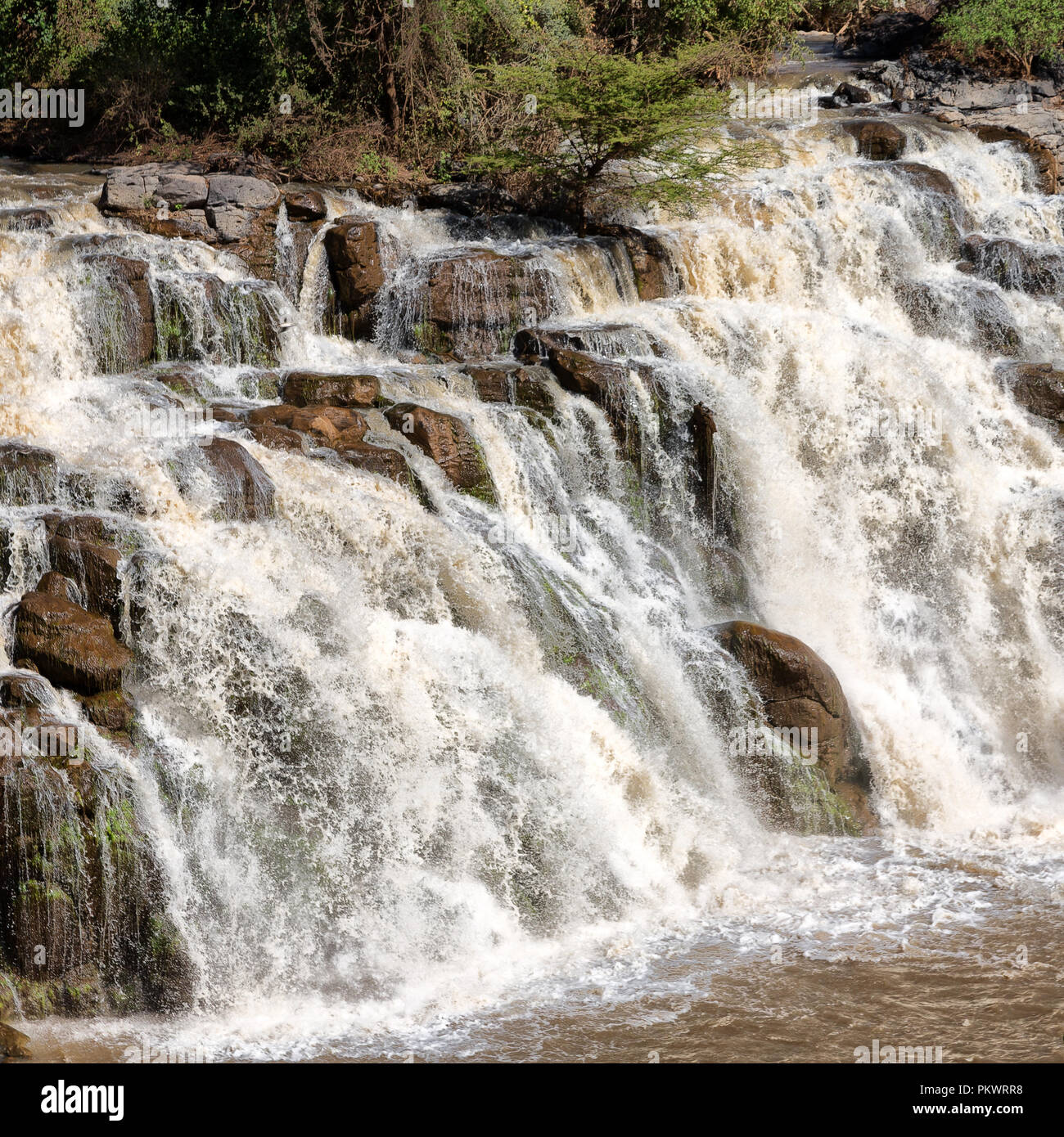 in ethiopia africa the awash national park and the falls nature wild ...