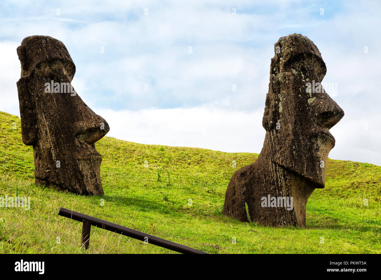 in chile rapa nui the antique and mysteriuos muai statue symbol of an ...