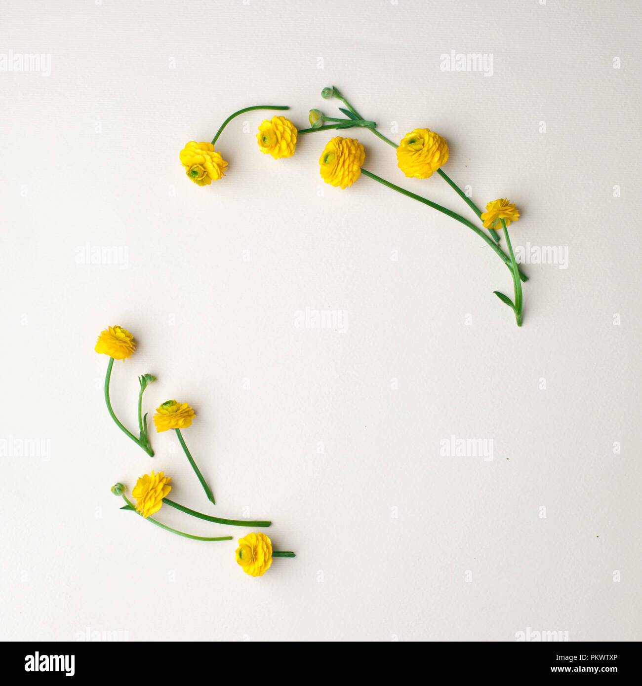 Design wreath frame various hi-res stock photography and images - Alamy