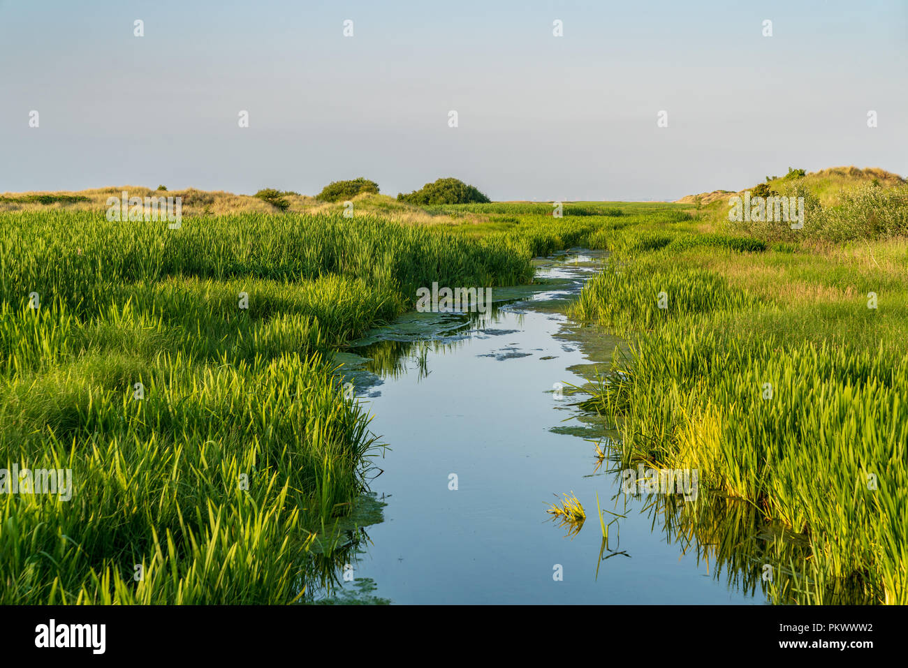 Landscape at the Gronant Dunes Nature Reserve, Denbighshire, Wales, UK ...