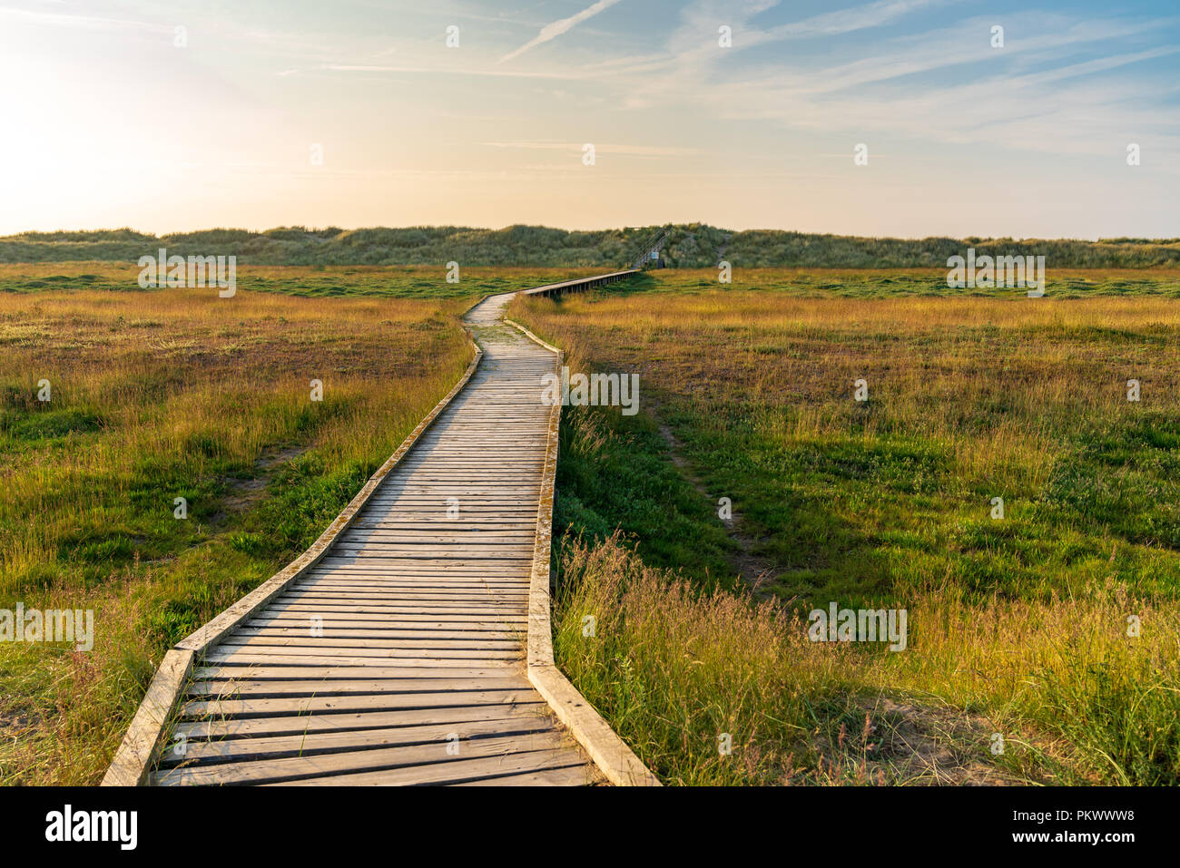 Footpath to the sea at the Gronant Dunes Nature Reserve, Denbighshire ...