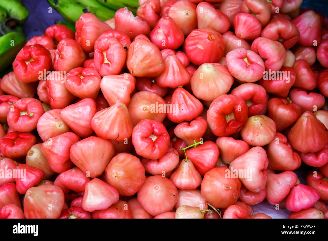 exotic fruits of pink apples on the display case Stock Photo - Alamy