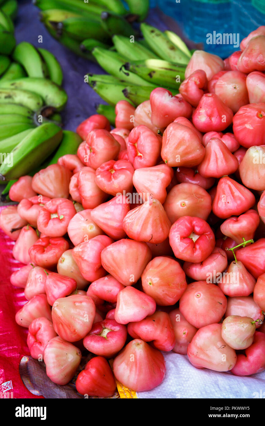 exotic fruits of pink apples on the display case Stock Photo - Alamy