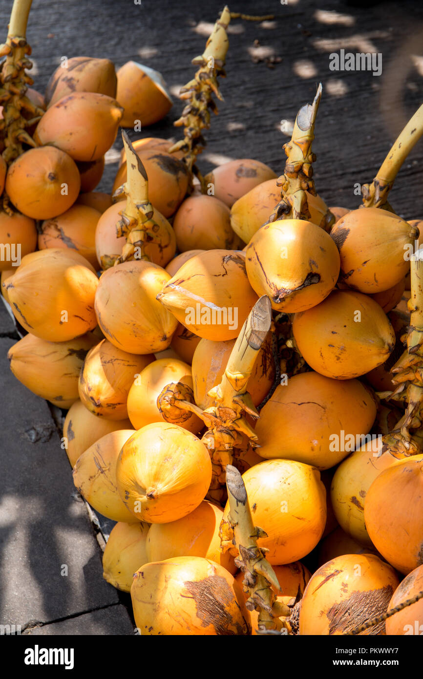Royal yellow coconuts on branches in the market Stock Photo - Alamy