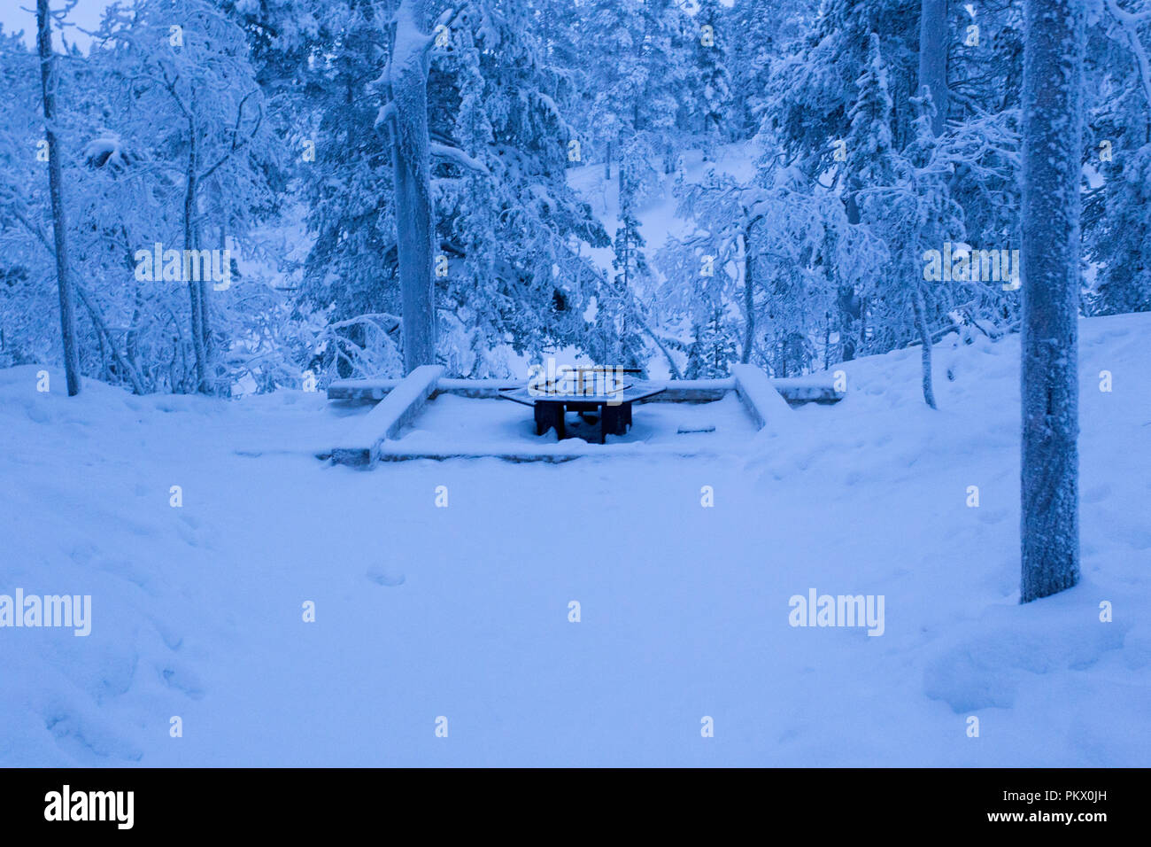 Cold winter in north of Finland, lapland Stock Photo - Alamy