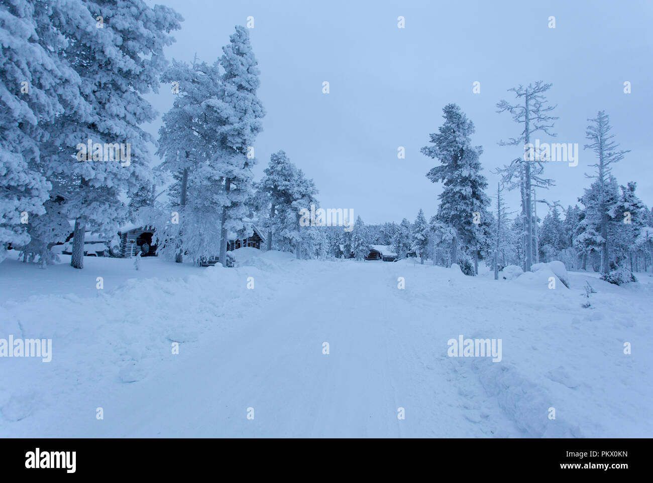 Cold winter in north of Finland, lapland Stock Photo - Alamy