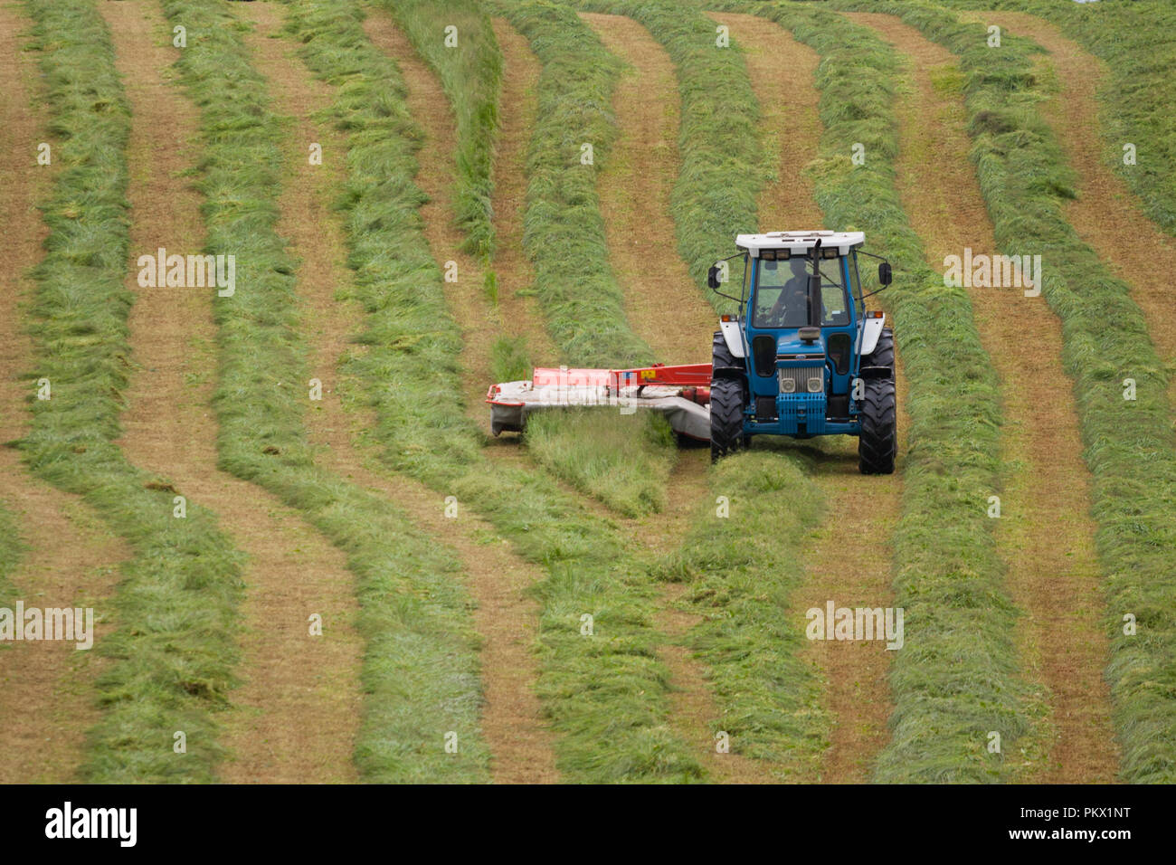 1988 Ford 7610 force two with Kuhn FC243 mower conditioner cutting ...