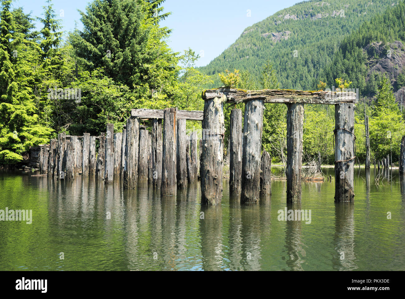 Remains of an old dock at the north end on Stave Lake, Mission, British ...
