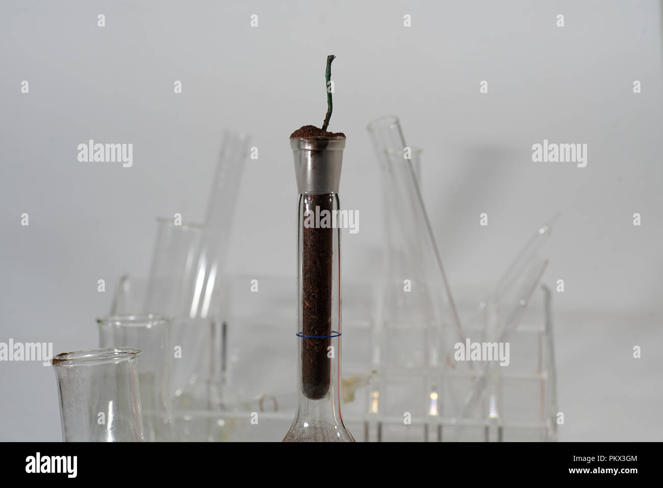 Contents of a fireworks body with disguise and black powder Stock Photo ...