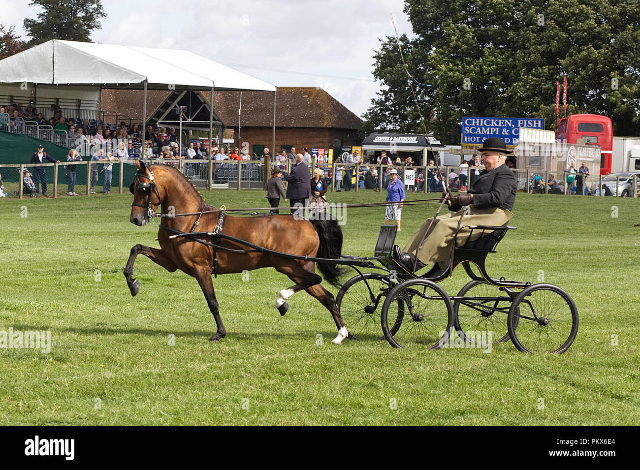 Hackney Horse Origin
