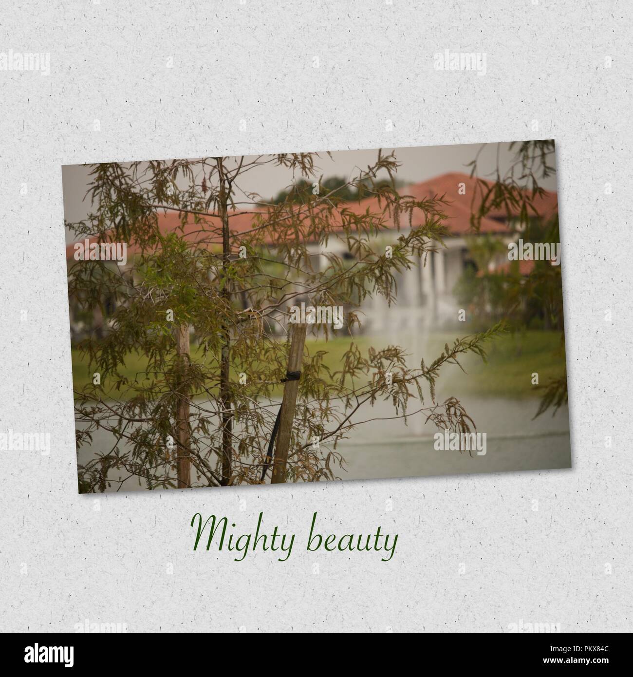 Biodiversityofusa hi-res stock photography and images - Alamy