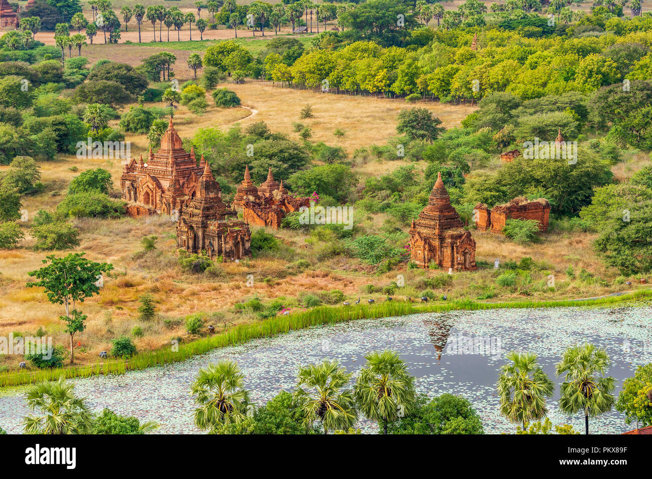 The plain of Bagan (Pagan), Mandalay, Myanmar Stock Photo - Alamy