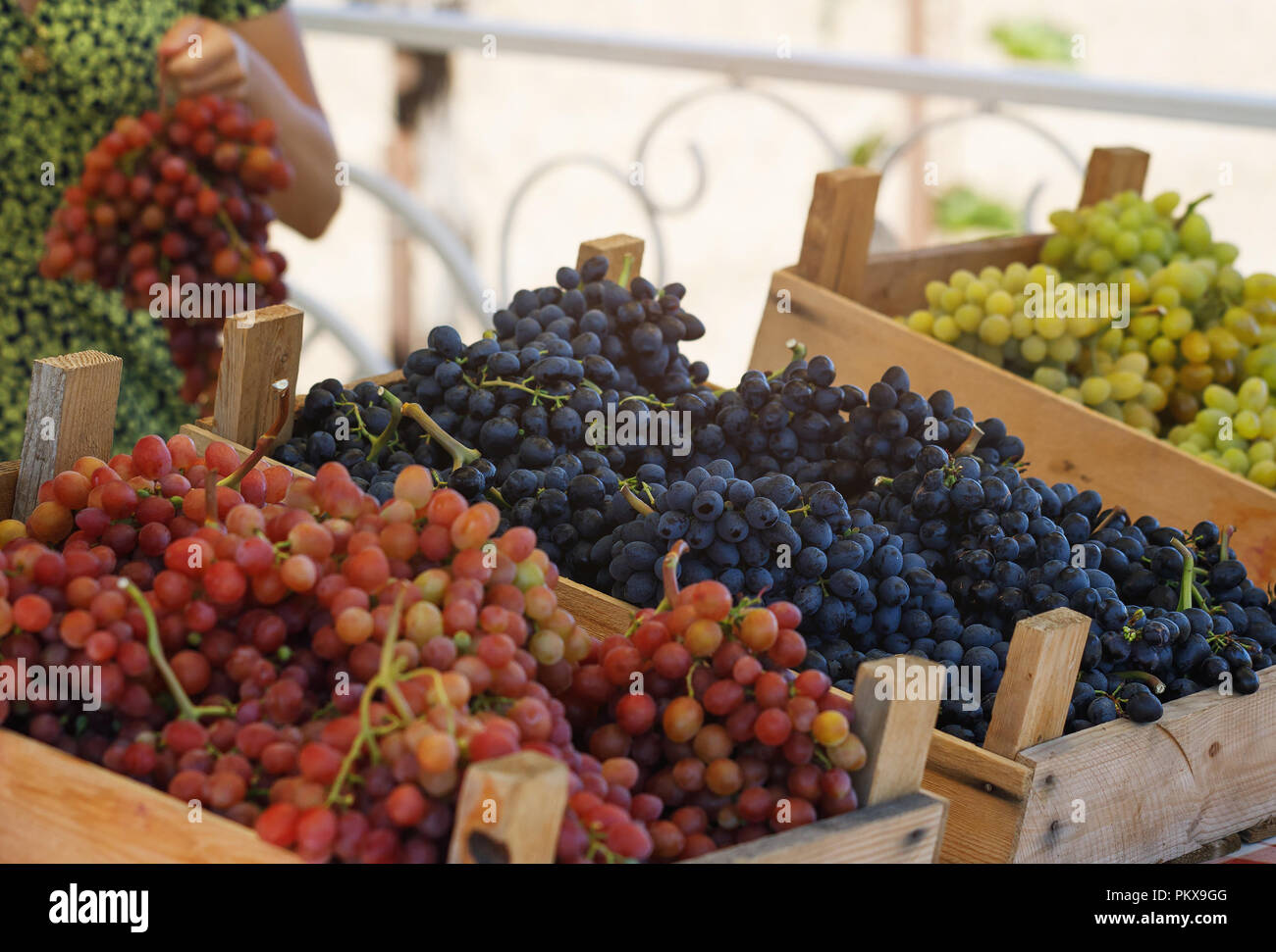 Ripe and tasty grapes of different varieties on the market counter ...