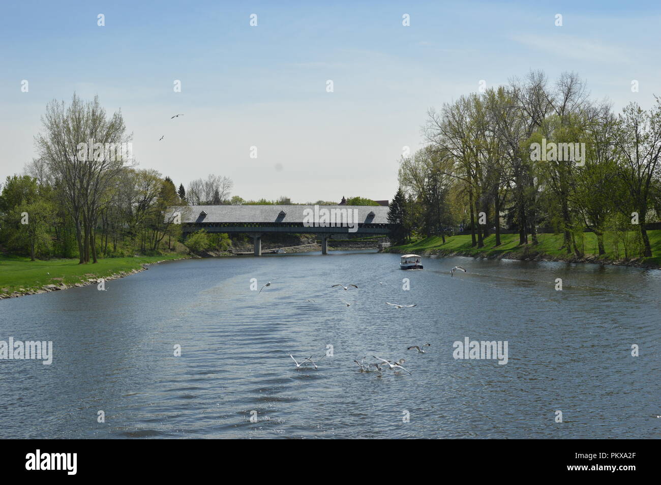 Cass river michigan hi-res stock photography and images - Alamy