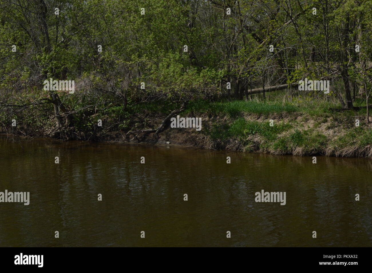 Cass River, Frankenmuth, Michigan Stock Photo - Alamy