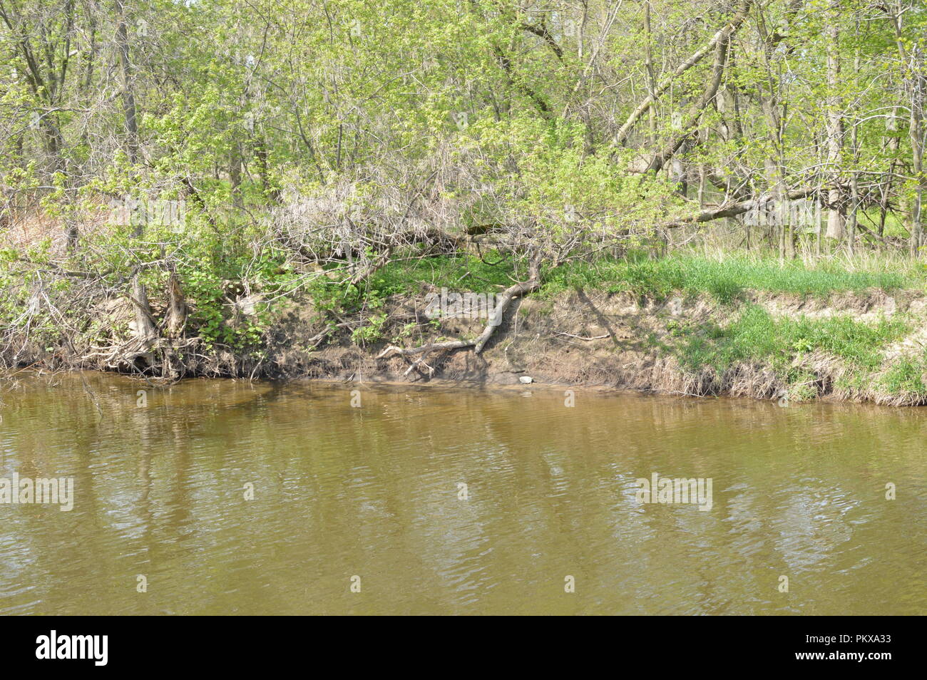 Cass River, Frankenmuth, Michigan Stock Photo - Alamy