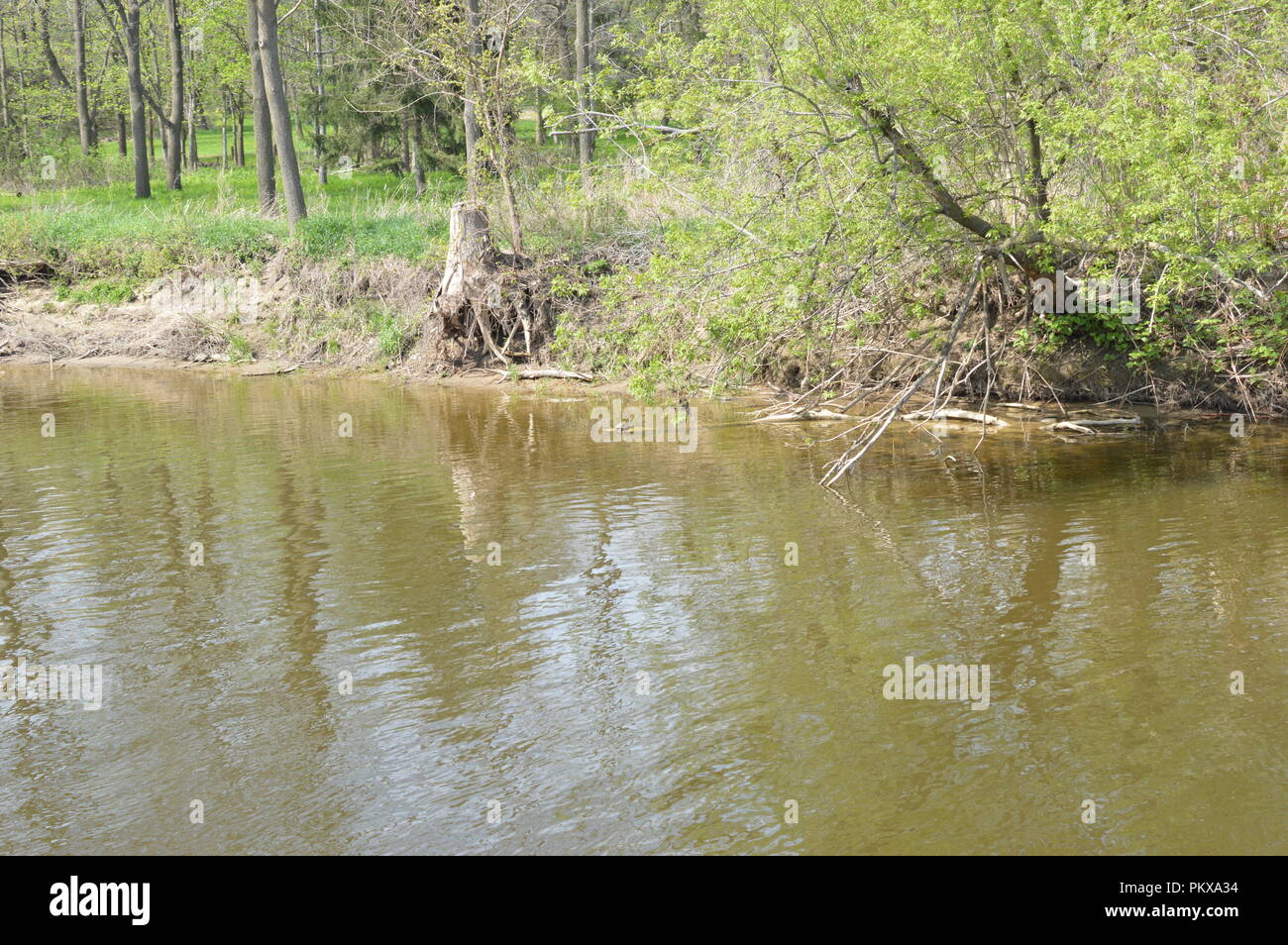 Cass River, Frankenmuth, Michigan Stock Photo - Alamy