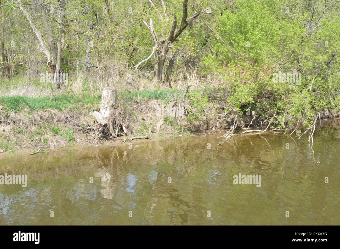 Cass River, Frankenmuth, Michigan Stock Photo - Alamy