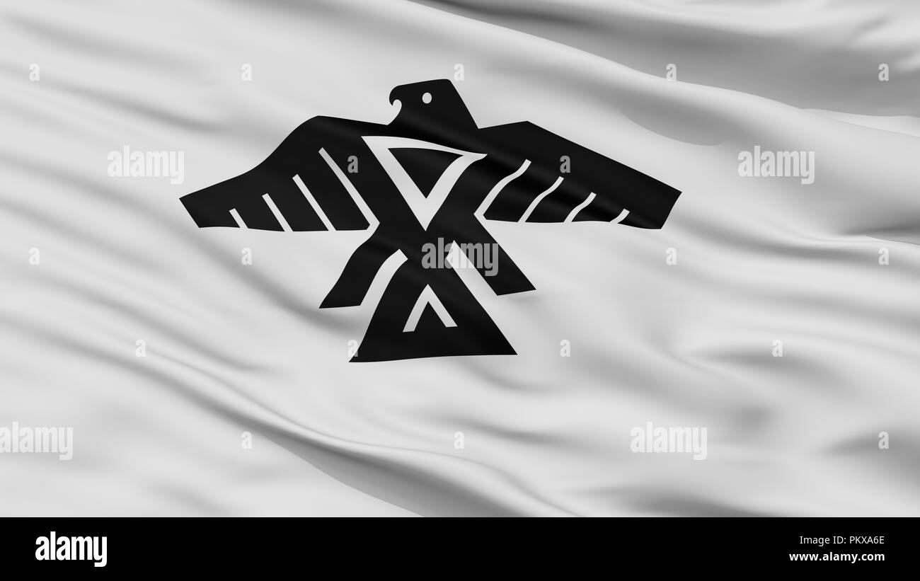 Anishinabe Indian Flag, Closeup View, 3D Rendering Stock Photo - Alamy