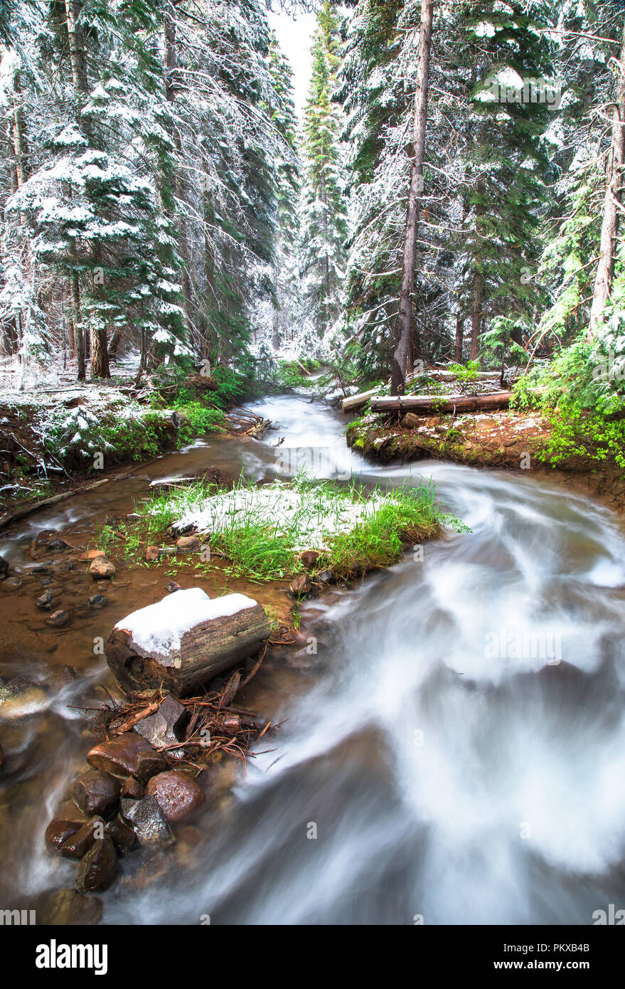 Cascade Canal flows through evergreen forest near Mt. McLoughlin on a ...