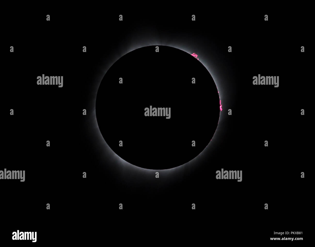 The phenomenon known as Baily's Beads is visible as bright pink flares ...