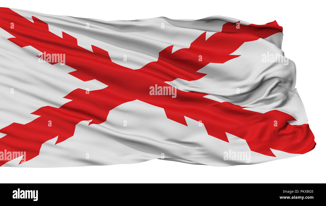 Cross Of Burgundy Flag, Isolated On White Background, 3D Rendering ...
