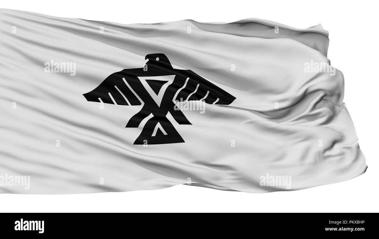 Anishinabe Indian Flag, Isolated On White Background, 3D Rendering ...