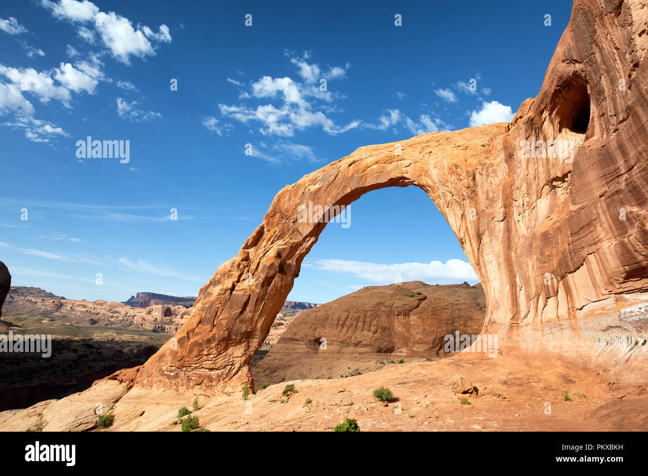 Corona arch hi-res stock photography and images - Alamy