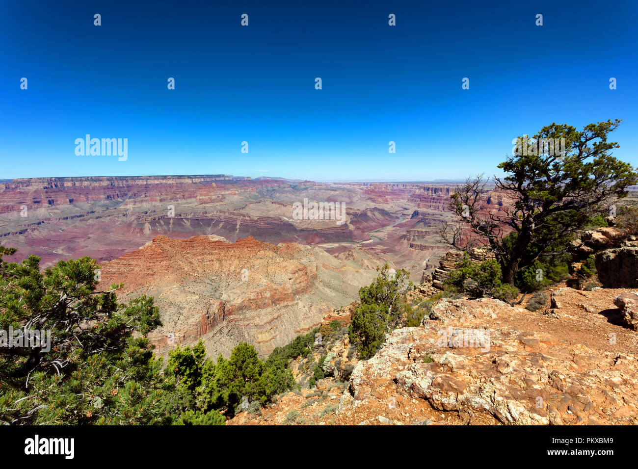 Grand Canyon South Rim view in Arizona during summer season Stock Photo ...