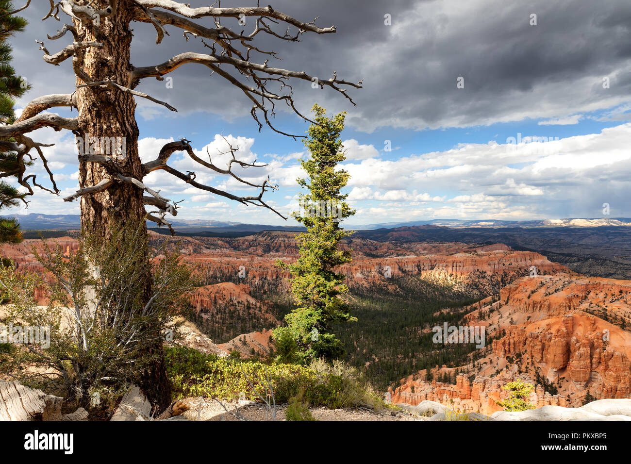 Thunder ridge hi-res stock photography and images - Alamy