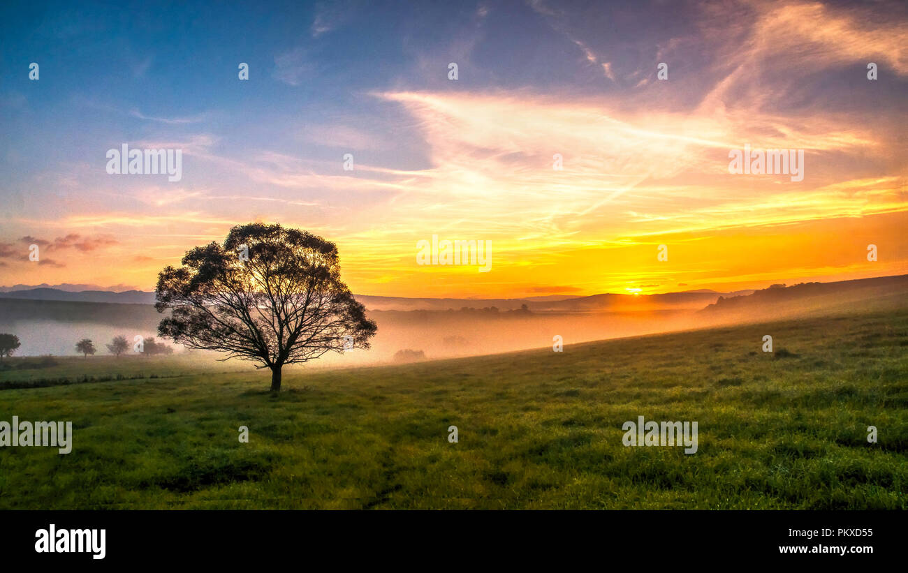 Good morning nature hi-res stock photography and images - Alamy