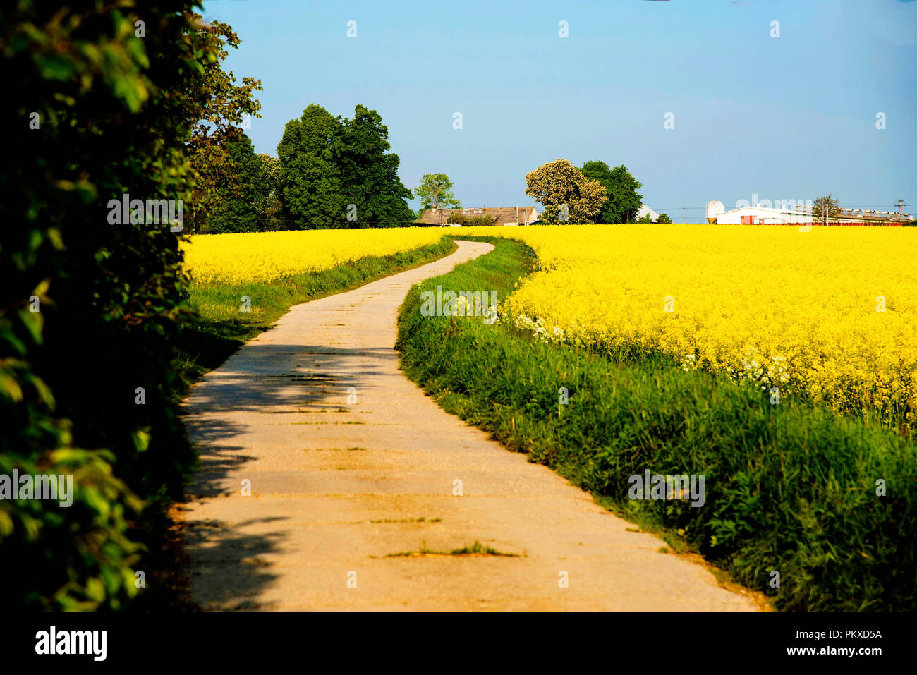 Spring landscapes blue sky hi-res stock photography and images - Alamy